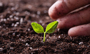 宮古島はサメの被害が多い？ポイントは させないこと！