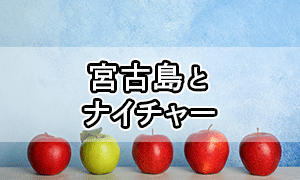 宮古島でのナイチャーという言葉の意味は？出身者が語る本音