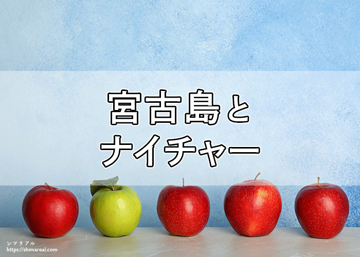 宮古島でのナイチャーという言葉の意味は？出身者が語る本音